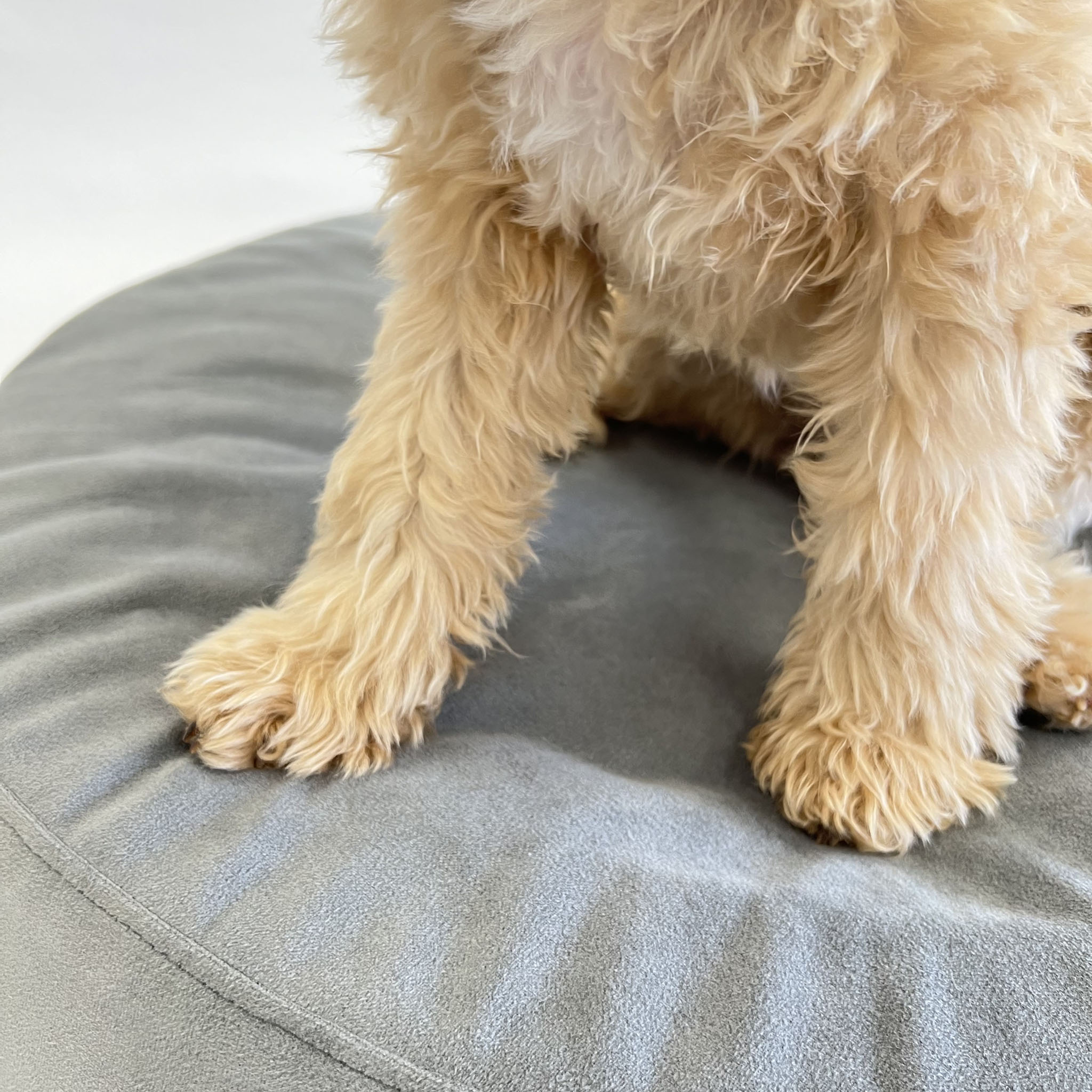 Baxii Modular Corner - The Australian Made Campaign